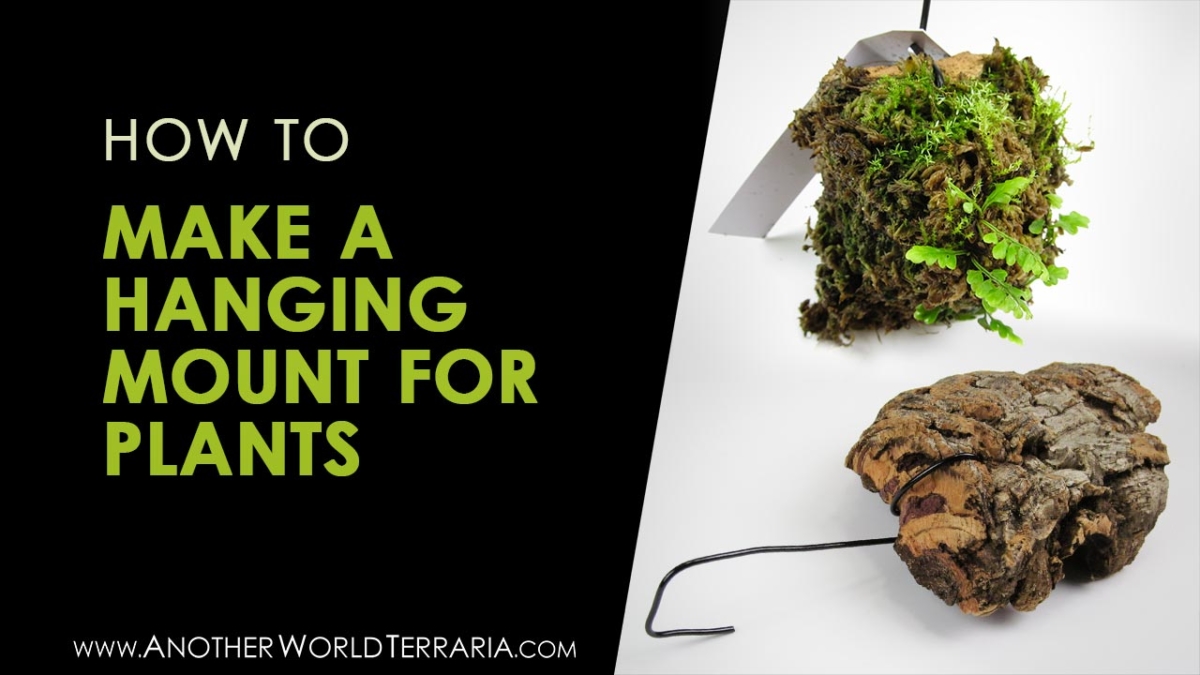 How to Mount a Plant on a Hanging Mount – Another World Terraria