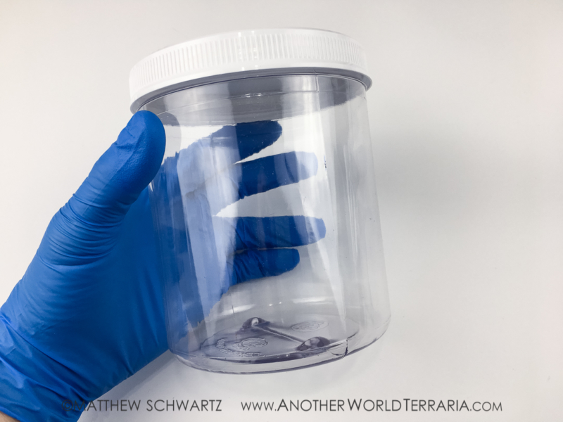 How To Make a Springtail Culture (Terraria Clean Up Crew!) – Another ...