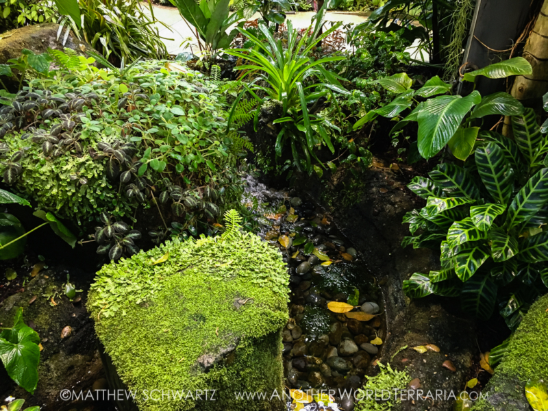 Amazon Spheres Tour (Stunning Sanctuary in Seattle!) Part 2 – Another ...
