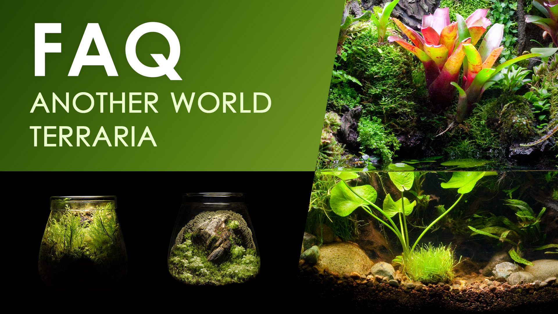 FAQ – Another World Terraria