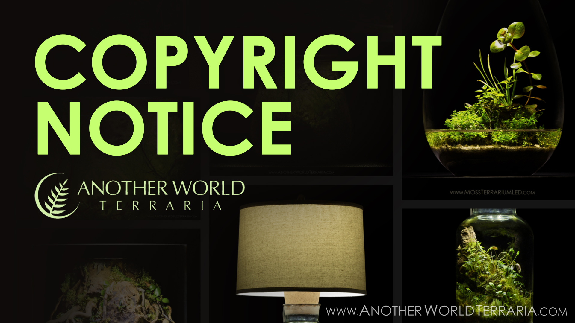Copyright – Another World Terraria