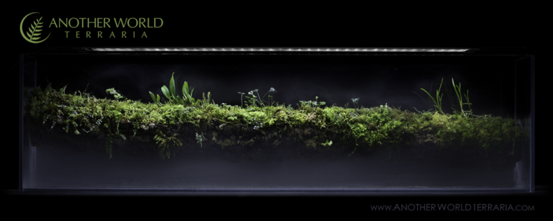 The Cliff Drip Wall – Another World Terraria