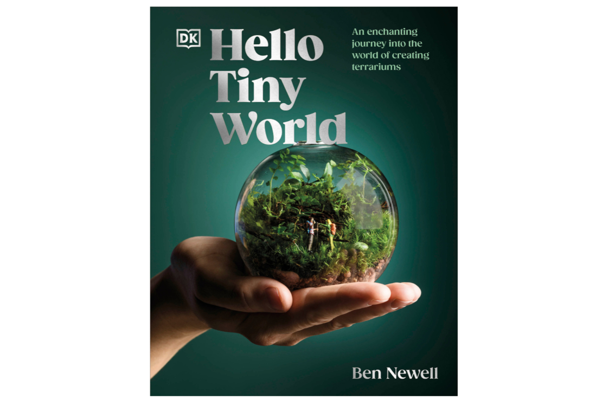 Media – Another World Terraria